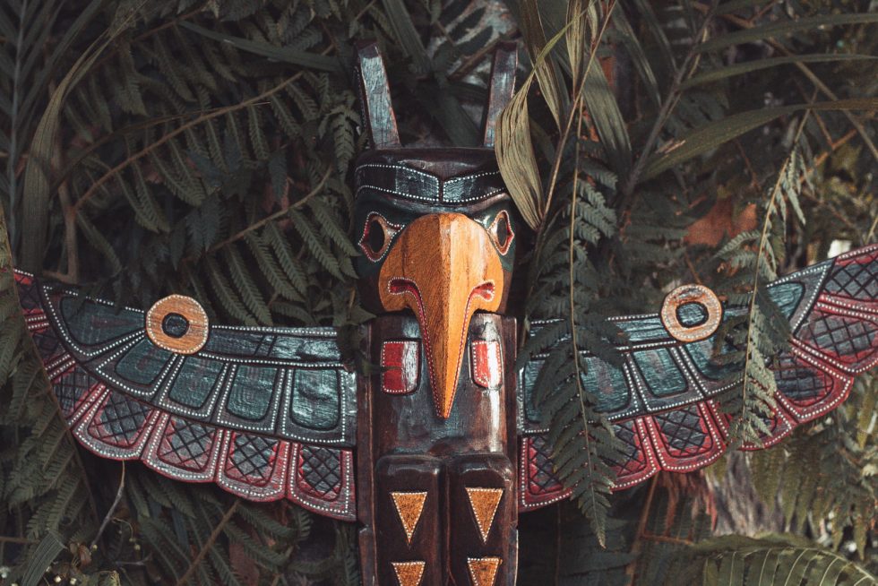 Discovering The Importance Of Bird Totems - Native American Totems